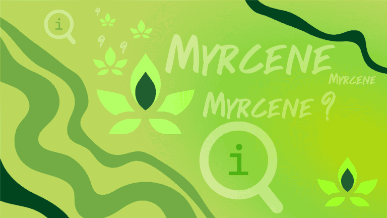 What is Myrcene? Cannabis Terpene Explained - Siam Green Cannabis Co
